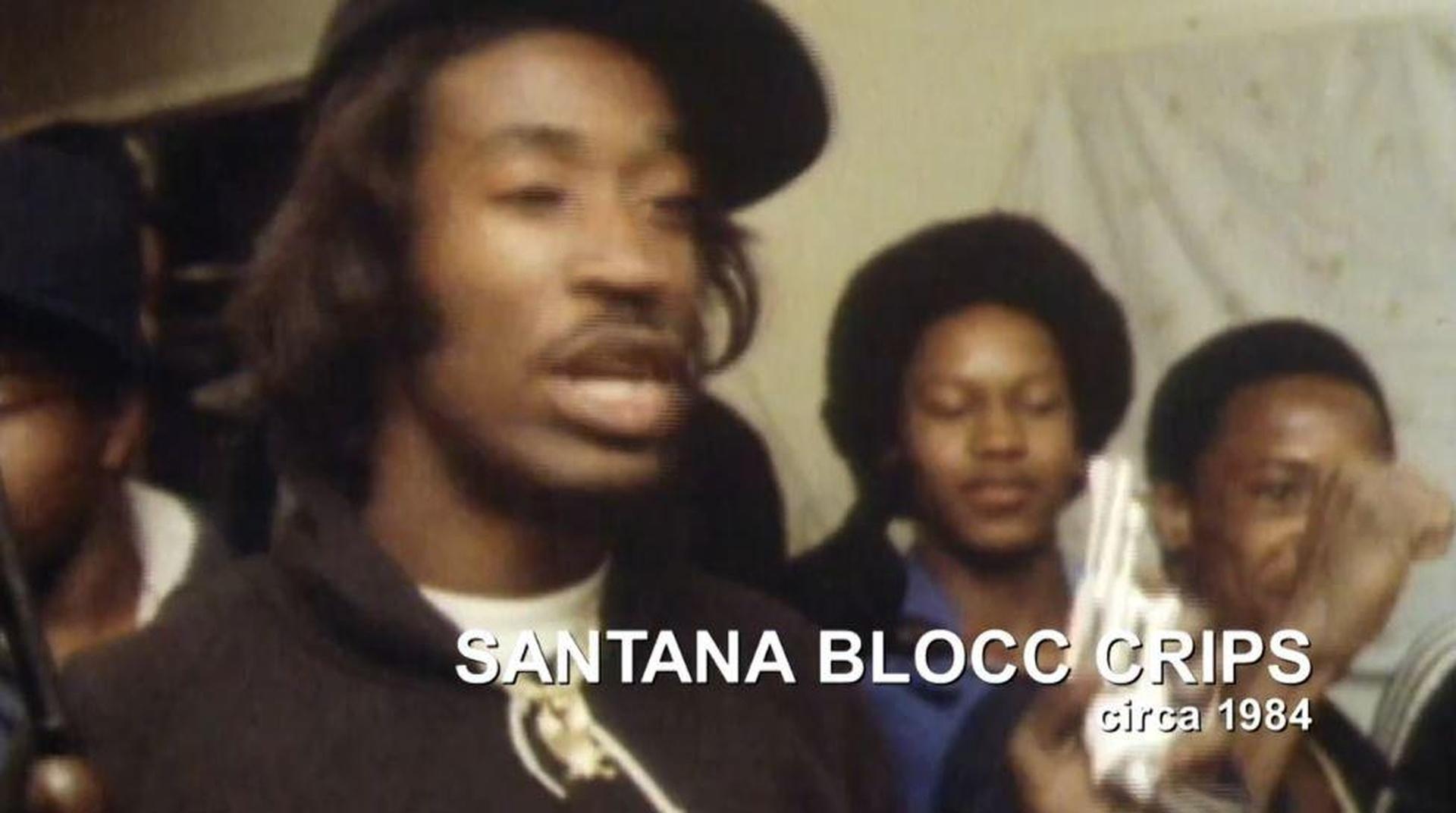 Crips and Bloods: Made in America